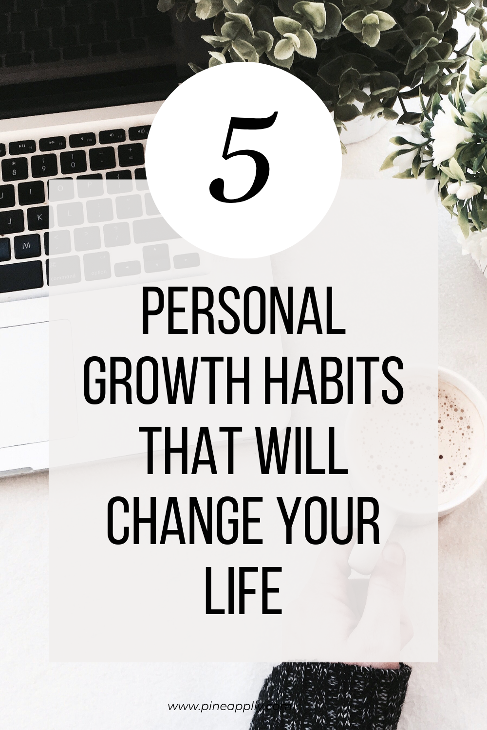 5 Personal Growth Habits for a Successful Life - Pineapplly