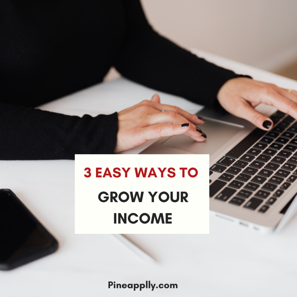 3 Easy Ways to Boost your income - Pineapplly